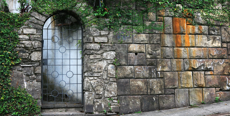 About | Dr. Christa Martin