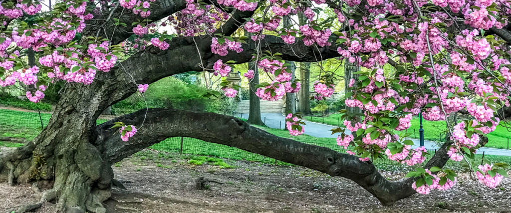 home2-new | Dr. Christa Martin